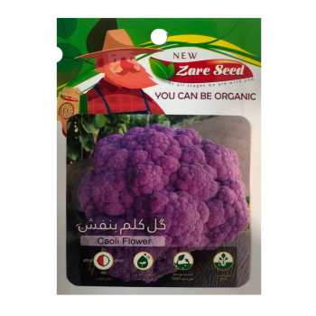 بذر گل کلم بنفش + آموزش کاشت و نگهداری/ قیمت+خرید - کلبه کشاورز